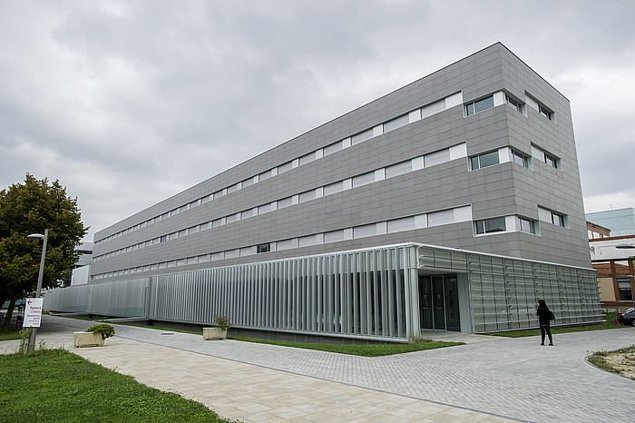 Javier Sesma: "Arazo txikiak izan dira, baina nahiko kontent gaude"