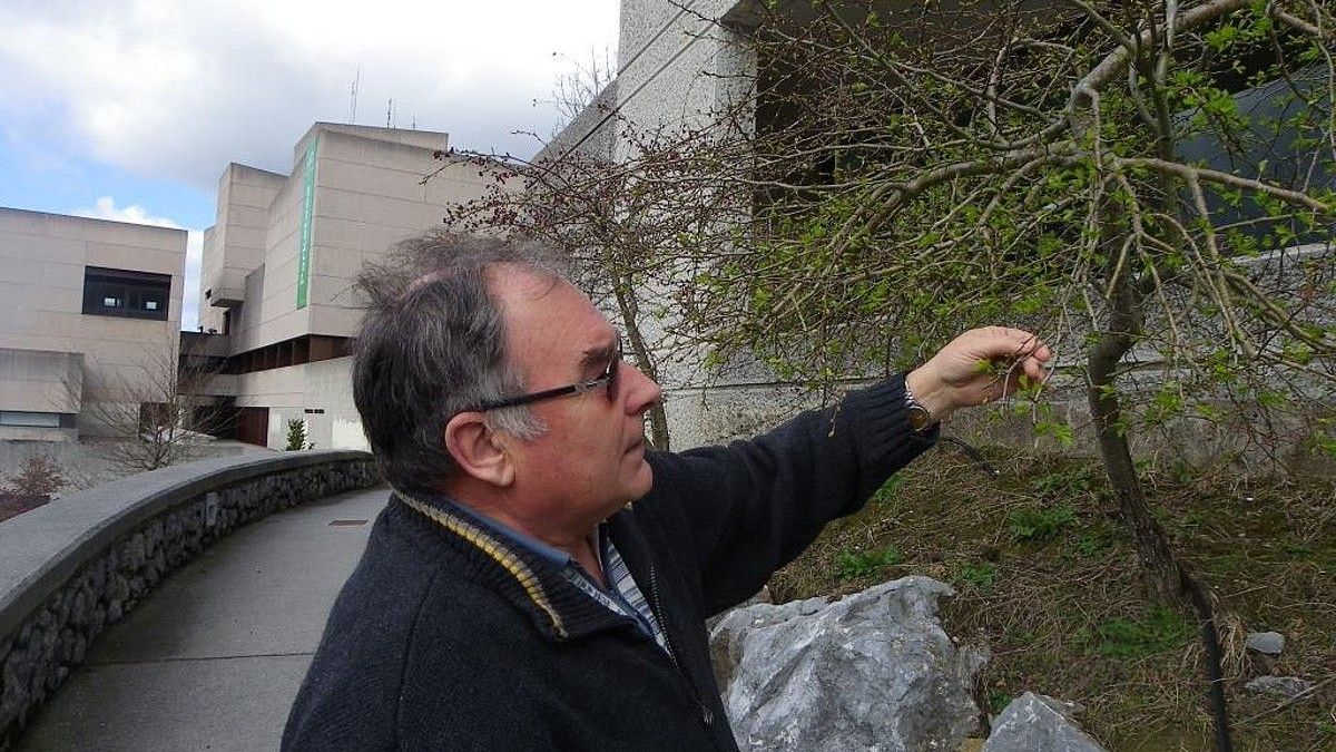 Klima Aldaketak Asko Eragiten Die Izakiei Eta Era Ezberdinean 6697