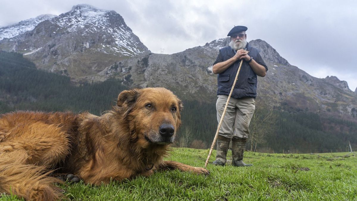 Euskal arraza, galzorian