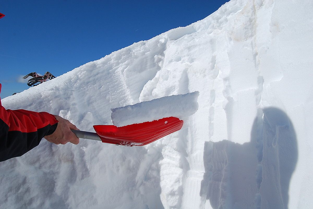 Elurraren xehetasunak