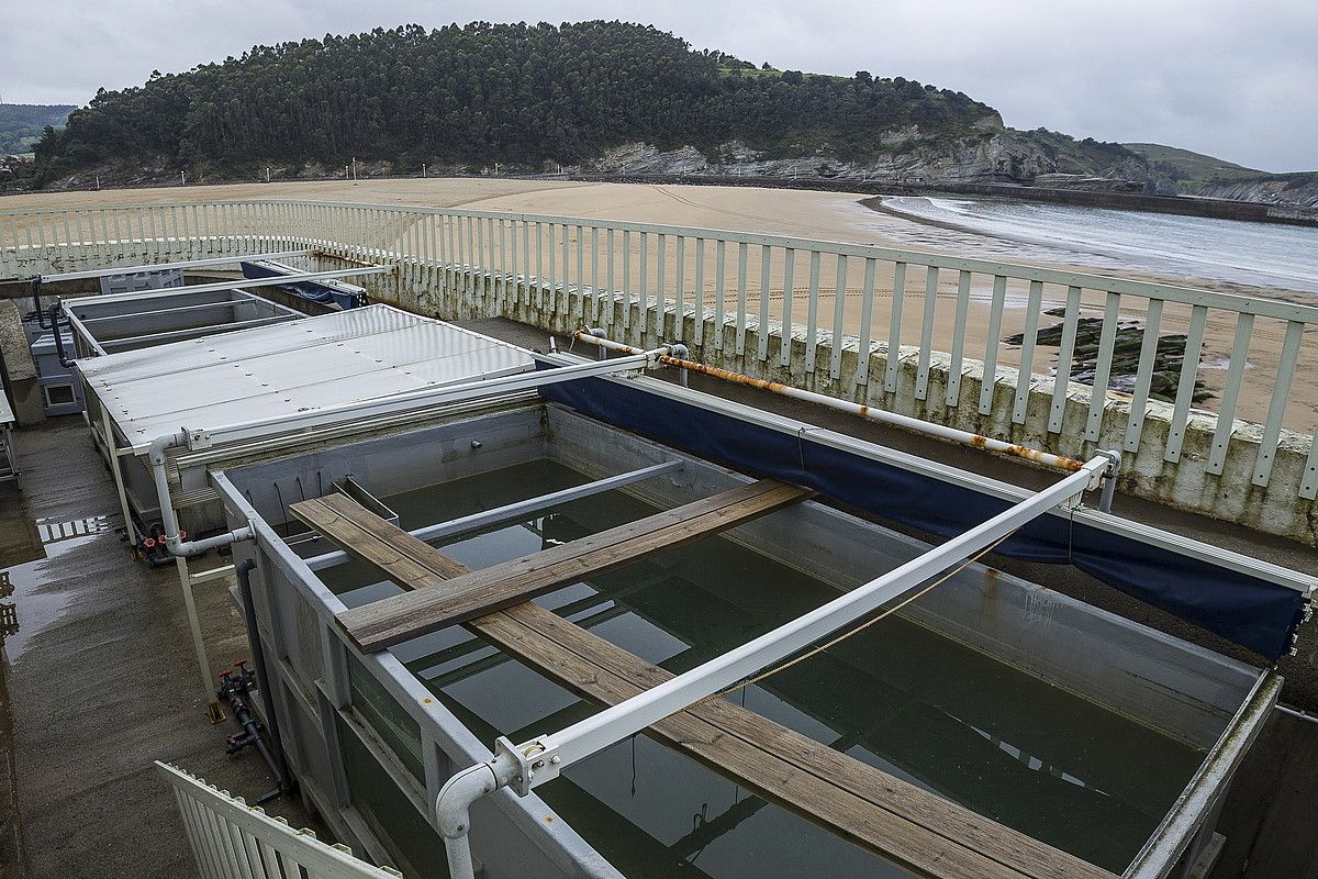 Ate bat itsasoaren sakonera